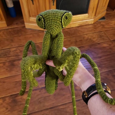 Praying Mantis Crochet Pattern - Etsy