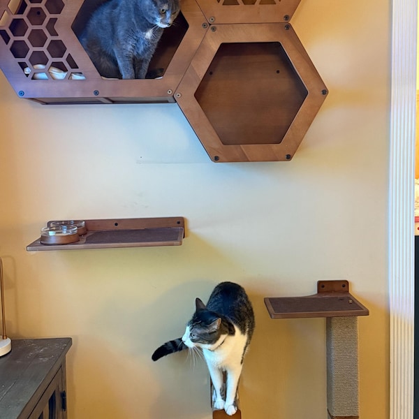 Set Cat House, Hexagon Cat Shelf, Modern Cat Wall Furniture, Hexagonal ...