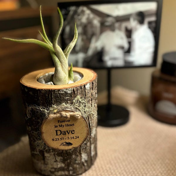 Mini Mountain Urn, Enchanted Forest Urn, Sharing Urn, Honoring the Lost ...