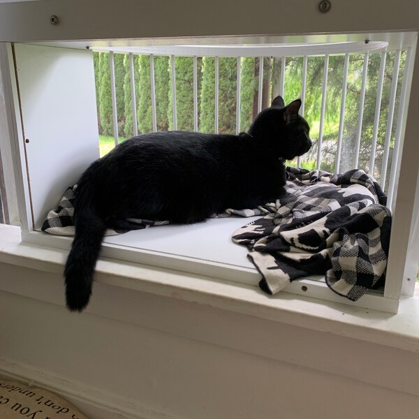 Cat Solarium Sunroom Package: the Ultimate Cat Window Box. This Catio ...