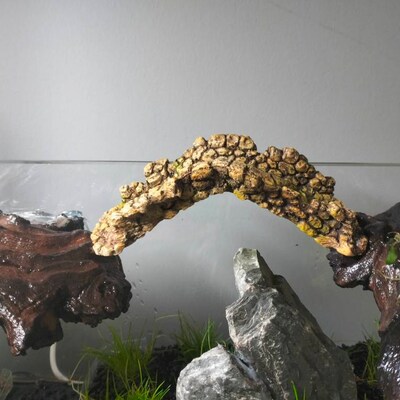 BONSAI MOUNTAIN ROCKS Premium Decorative Bonsai Rocks Terrarium ...