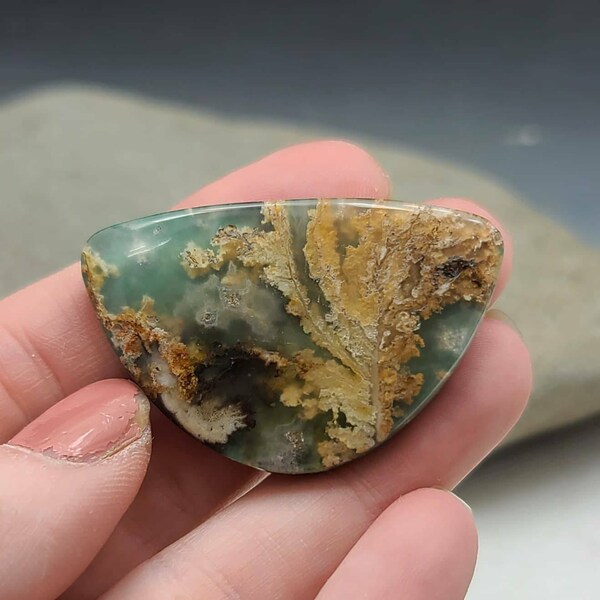 Eagle Rock Moss Plume Agate Red Jasper Rhyolite Rough Rocks for Slab ...