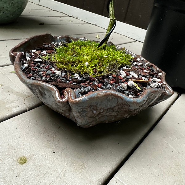 Handmade Bonsai Pot, Ceramic Bonsai Dish, Garden, Gardening, Nature ...