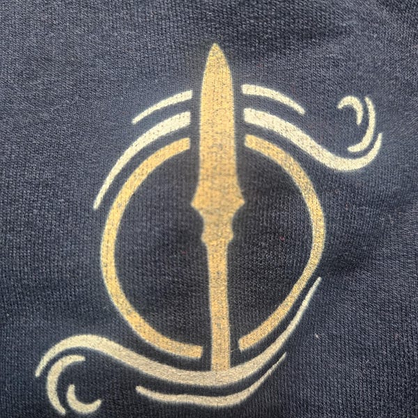 Stormlight Archive Shirt, Kaladin Stormblessed Shirt, Brandon Sanderson ...
