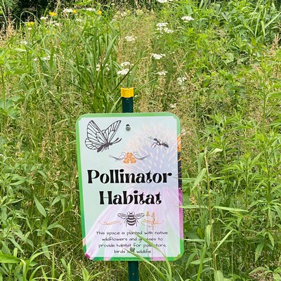 Kids Educational Pollinator Habitat Sign Promoting Native - Etsy