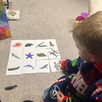 Life Cycle of a Green Bean Plant Montessori Materials 3 Part Cards ...