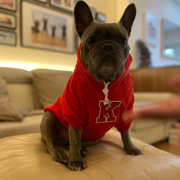 Red Dog Hoodie - Red Dog Sweater - Red Dog Jumper - Dog/puppy Clothing ...