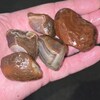 Unique Rare Sagenite Spray Inclusions Lake Superior Agate Raw Rough ...