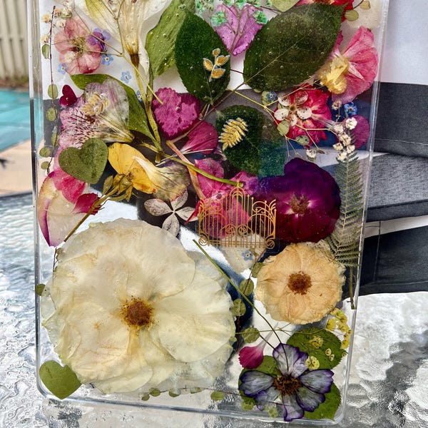 Pressed German Statice Flowers - Etsy