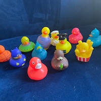 Buck Bronco Ducks Duck Tag for Bronco Rubber Horse Ducks Youve Been ...