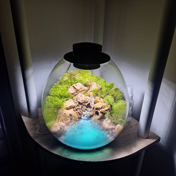 Art Deco Style Glass Terrarium Real Estate Home Buyer Gift - Etsy