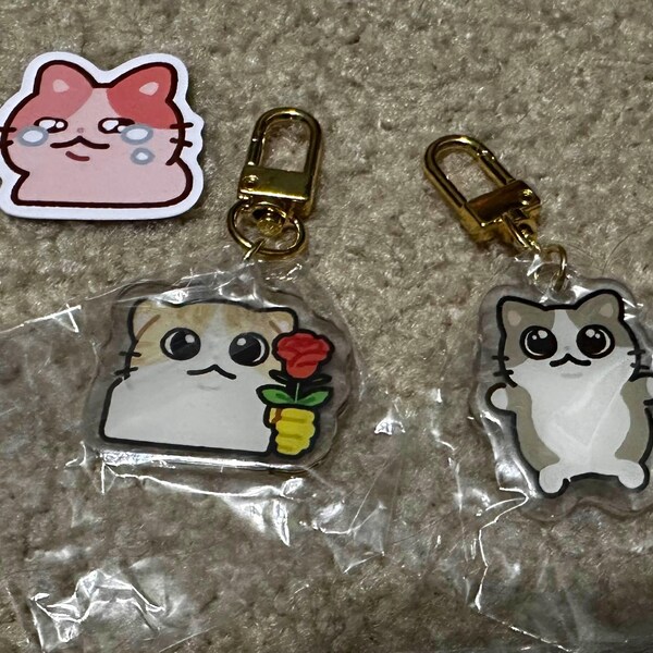 Cat Meme Keychain Double-sided Acrylic Charm - Etsy