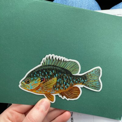 Common Loon Print Common Loon Painting Common Loon Art - Etsy