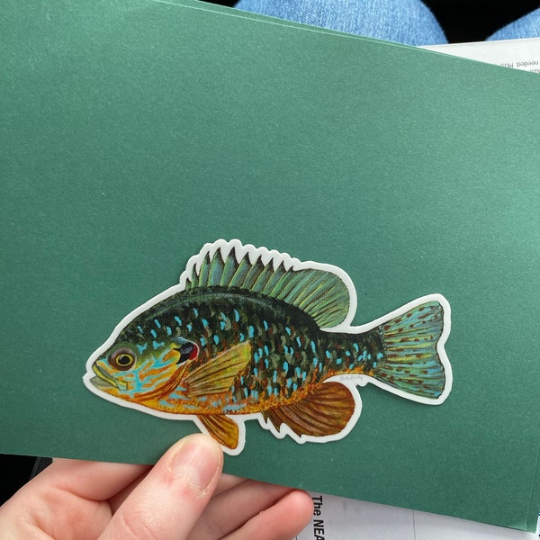 Pumpkinseed Fish Vinyl Decal | Waterproof | Sunfish Sticker | Panfish ...