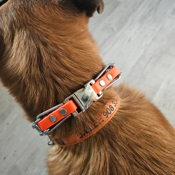 3.0mm Custom Prong Collar With Quick Release Buckle - Etsy