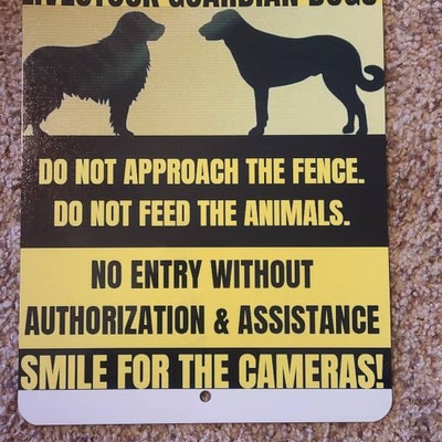 Polish Rabbit Svg Clipart - Etsy