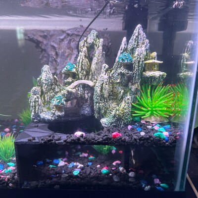 Aquarium/terrarium Corner Tunnel Fish Cave Fish Hide Reptile Hide 2 ...