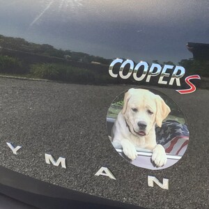 F Cancer Decal Sticker Vinyl Car Decal Sticker | Etsy