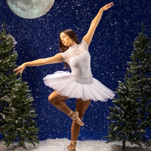 170 Moon Overlays, Moon Phases, Red Moon Overlay, Eclipse Moon Overlay ...