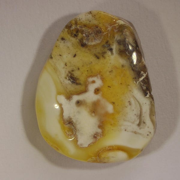 Baltic Amber Inclusion EXCLUSIVE BOX With E X C L U S I VE I N C L U S ...