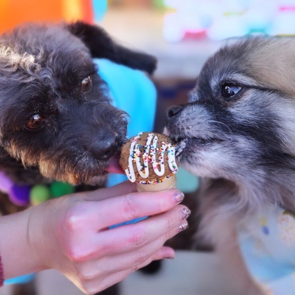 Vanilla & Strawberry Pup’tarts-small - Etsy