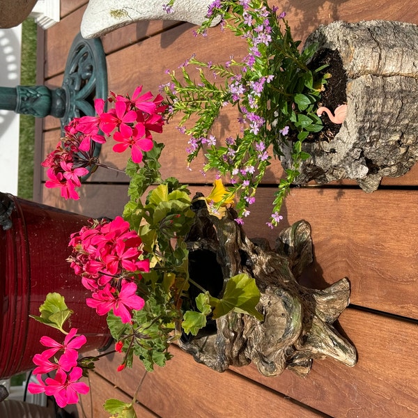 Tall Skinny Concrete Tree Stump Planter - Etsy