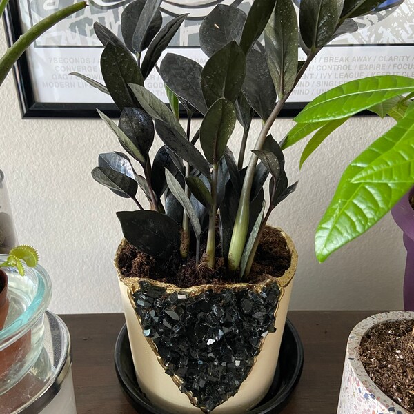 6 Inch Geode Pot - Concrete Pot - Hand Painted Pot - Stone Pot ...