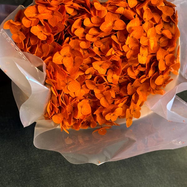 Burnt Orange Preserved Hydrangeas | Dried Hydrangea | Orange Flower ...