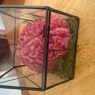 Bigfoot Statue With Teeth Blank Bust for Painting - Etsy