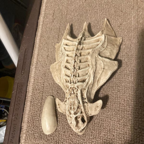 Xenolion Skull Based on Giger Artaliens - Etsy