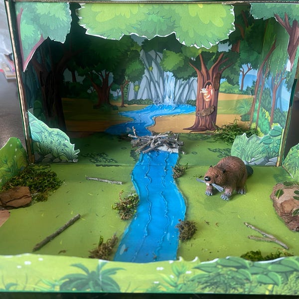 Shoebox Water Cycle Diagram Diorama, Create Your Own Papercraft Water ...