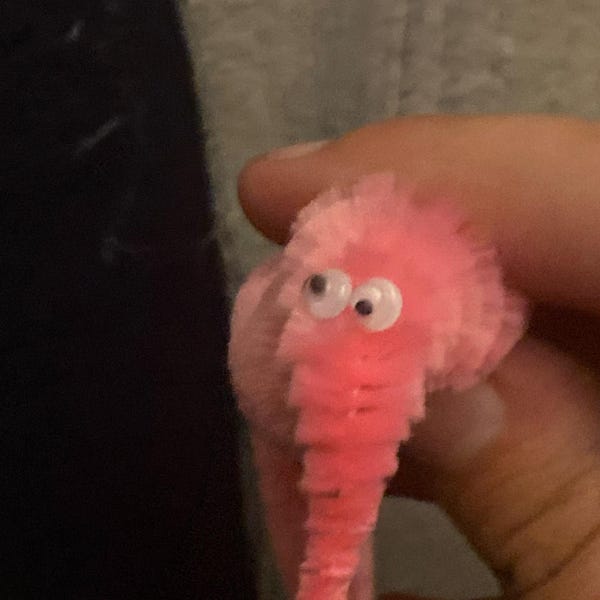 Personalized Silly Worm Necklace, Worms on String, Wormies, Necklace ...