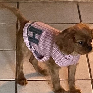 Dog Sling / Pet Carrier / Crochet Dog Carrier / Pet Sling / - Etsy