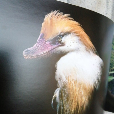 NOVOSAURS Book - Etsy