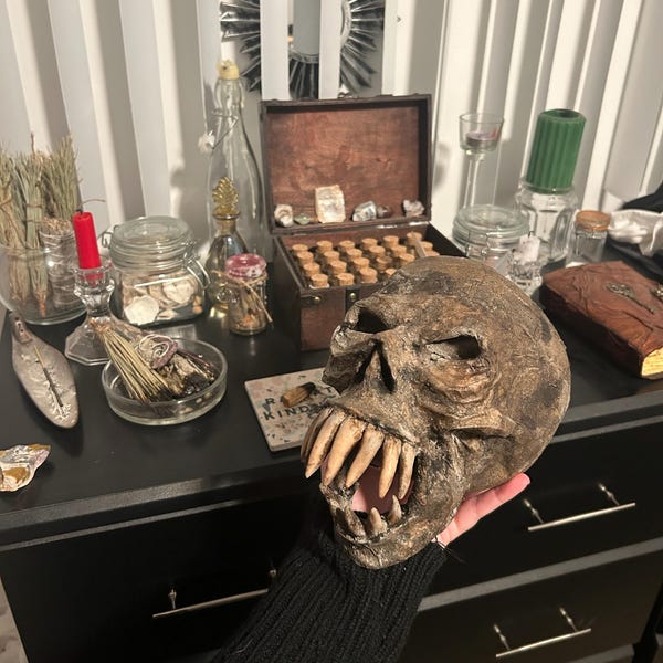 Alien Autopsy Specimen Realistic Mummified Prop - Etsy