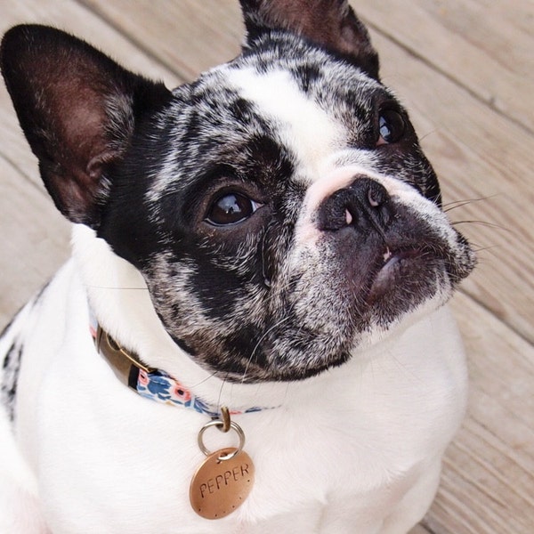 Custom Dog Tag / Custom Pet ID Tag - Lucy - in 1.25'' Domed Bronze ...