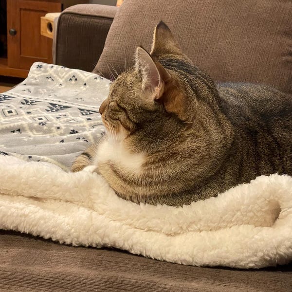 Snuggle Bed, Cat Sleep Sack, Sleeping Bag, Pet Sleeping Bag, Pet ...