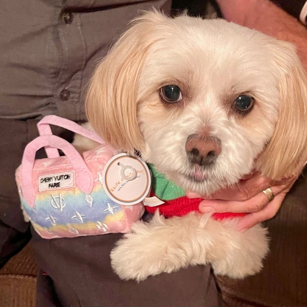 Tipsy Mutt Dog Treat Gift Box | Human Grade, Handmade and Decorated Dog ...