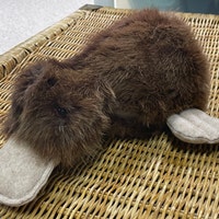 PDF Fluffy Duck Sewing Pattern Instant Download - Etsy Canada