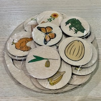 Animal and Continent Wheels Continents Wheels and Toys - Etsy