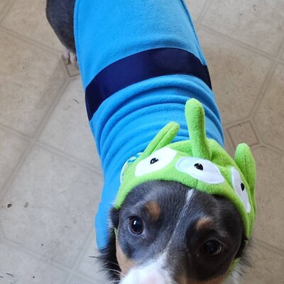 Alien Dog Costume, Toy Story Alien Dog Outfit, Halloween Dog Outfit ...