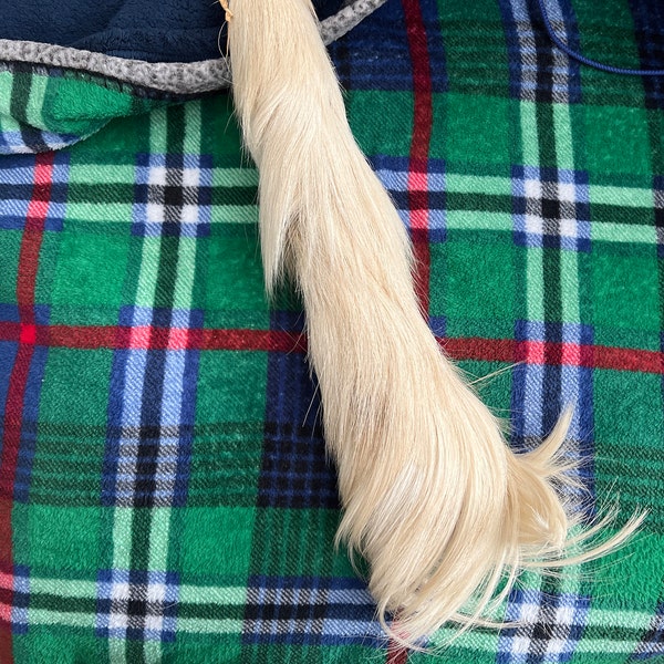 African Sego Damask/ Metallic Jacquard/ Headtie, Sego Gele Fabric - Etsy