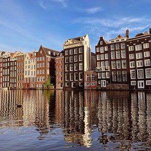 Razor Clam Shell Pairs Small Medium Large Cornish - Etsy