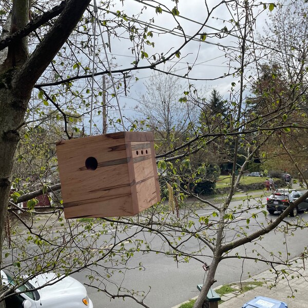 Handmade Ultra Modern Artistic Birdhouse, Minimalist Wood Bird Nesting ...