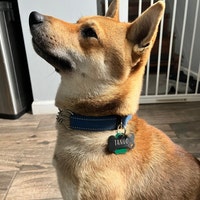 Reserved Listing - Etsy