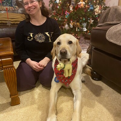 Felted Wool Yellow Lab maisie W BROWN or PINK Nose & Tennis Ball ...