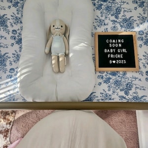 Pink Toile Baby Blanket Pink Floral Throw Pillow Girls Baby Bedding Set ...