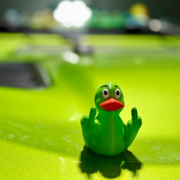 Lily Pad Floating Cupholder With Flower | Customizable | Veteran Made ...