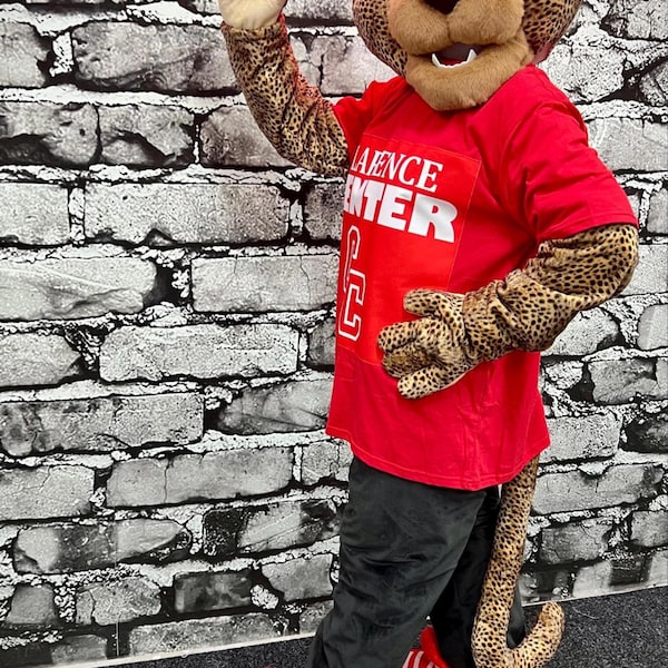 Custom Life-size Mascot Costume: Handmade Plush Character Suit - Etsy