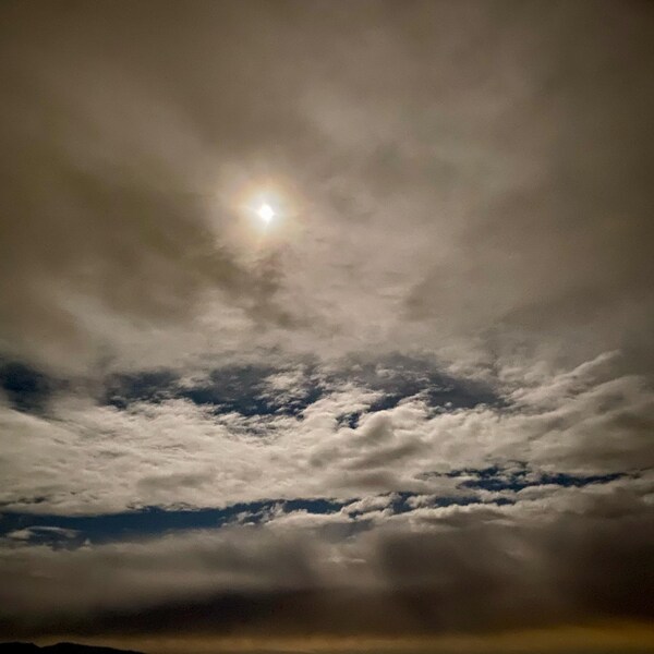 12mm Cuban Chain Link Stainless Steel Necklace, 12mm Wide, 40cm, 50cm ...